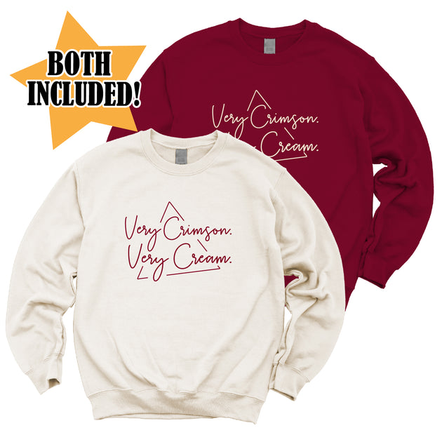 ΔΣΘ Sweatshirts – needthattee