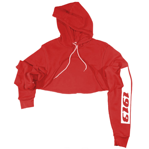 ΔΣΘ Hoodies – needthattee